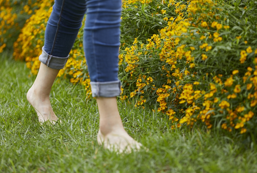 Herb Maze_LANDSCAPE_GAEAVILLA | Gaeavilla Resort