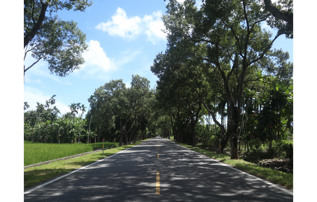 Tai-Chiu-Bing Provincial Road, Comphor Tree Trail_SCENIC SPOTS ...